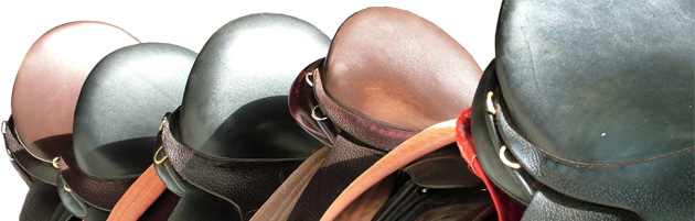 Der Sattel – Physio Equine